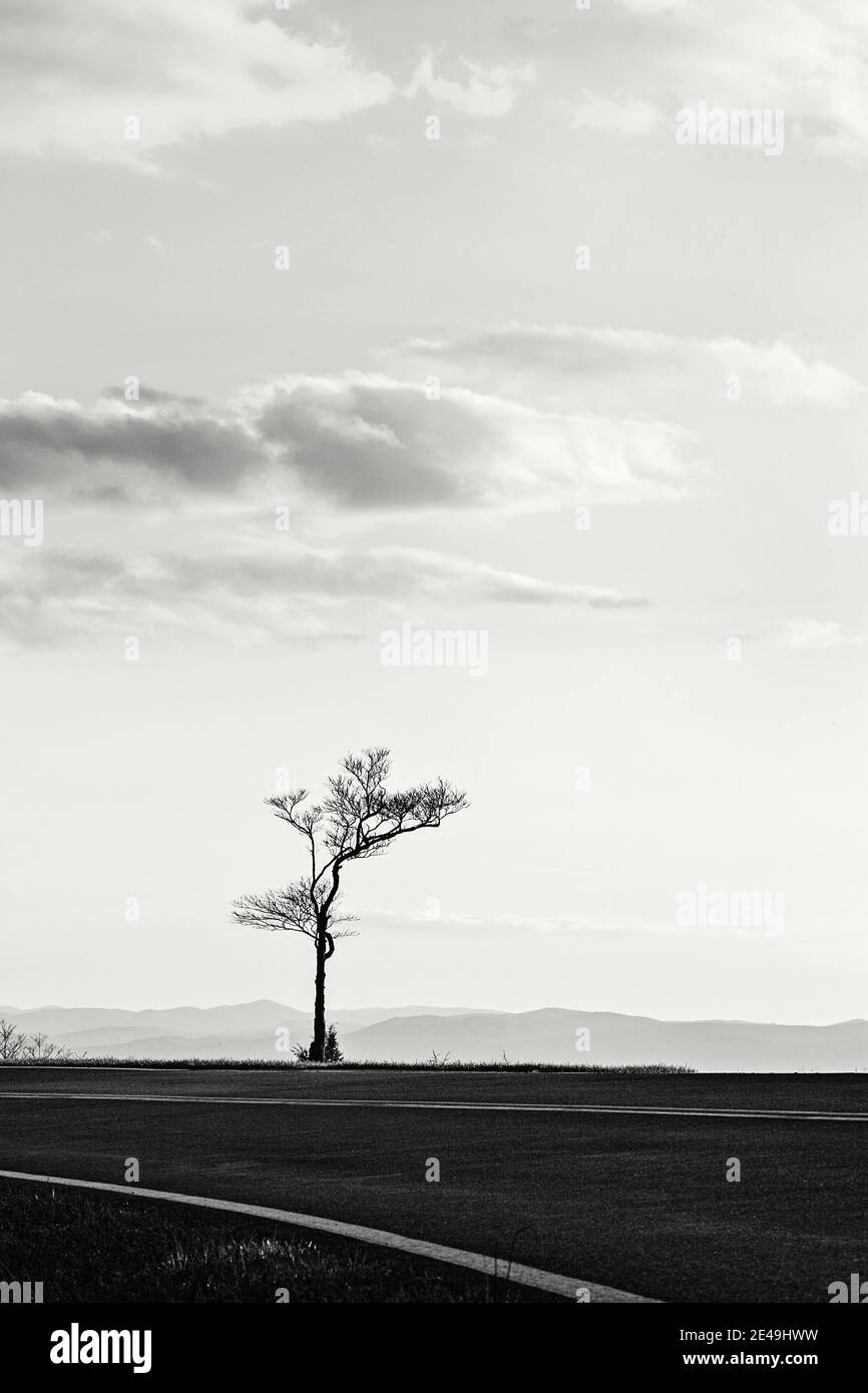 Parkway branch hi-res stock photography and images - Alamy