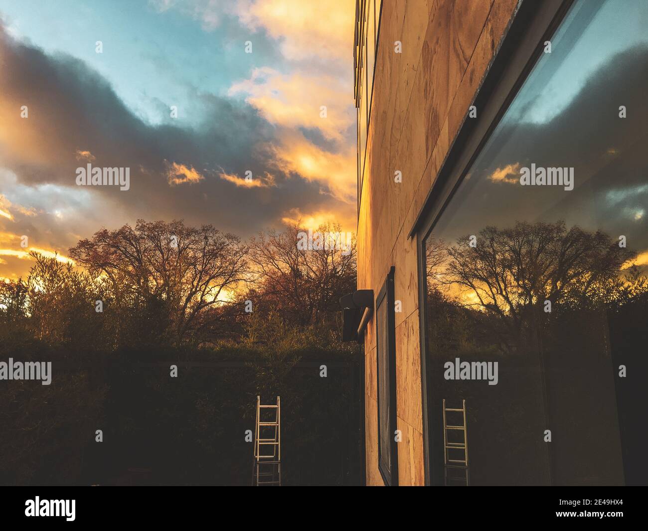 reflection of trees and sunset in the window of a house with a ladder ...