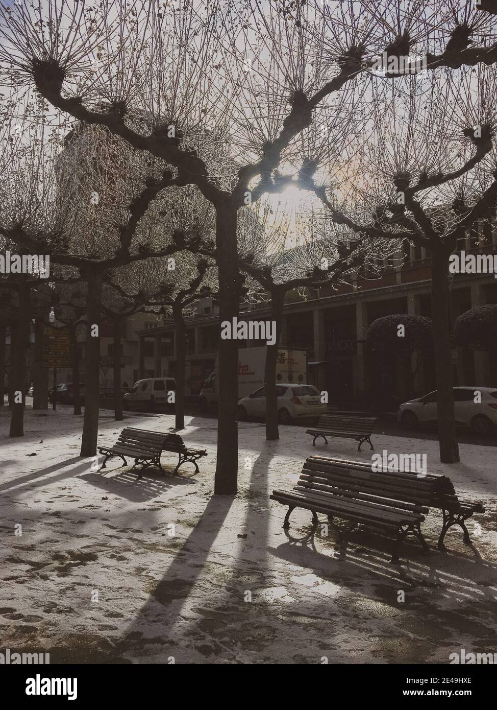 street with trees and benches with the sun in the background Stock ...