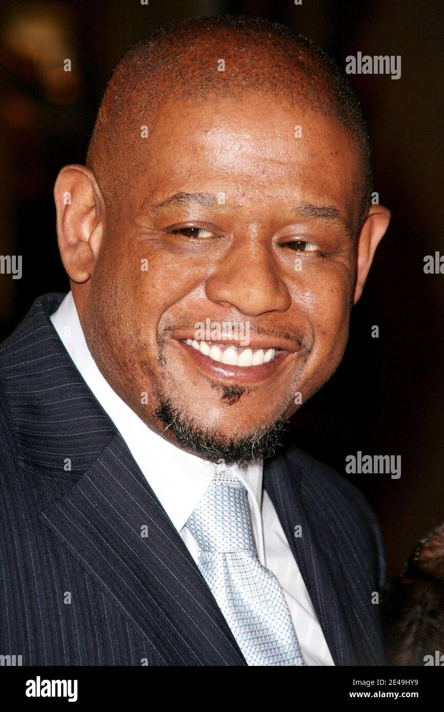 Forest Whitaker 1/7/07, Photo by Steve Mack/PHOTOlink /MediaPunch Stock ...