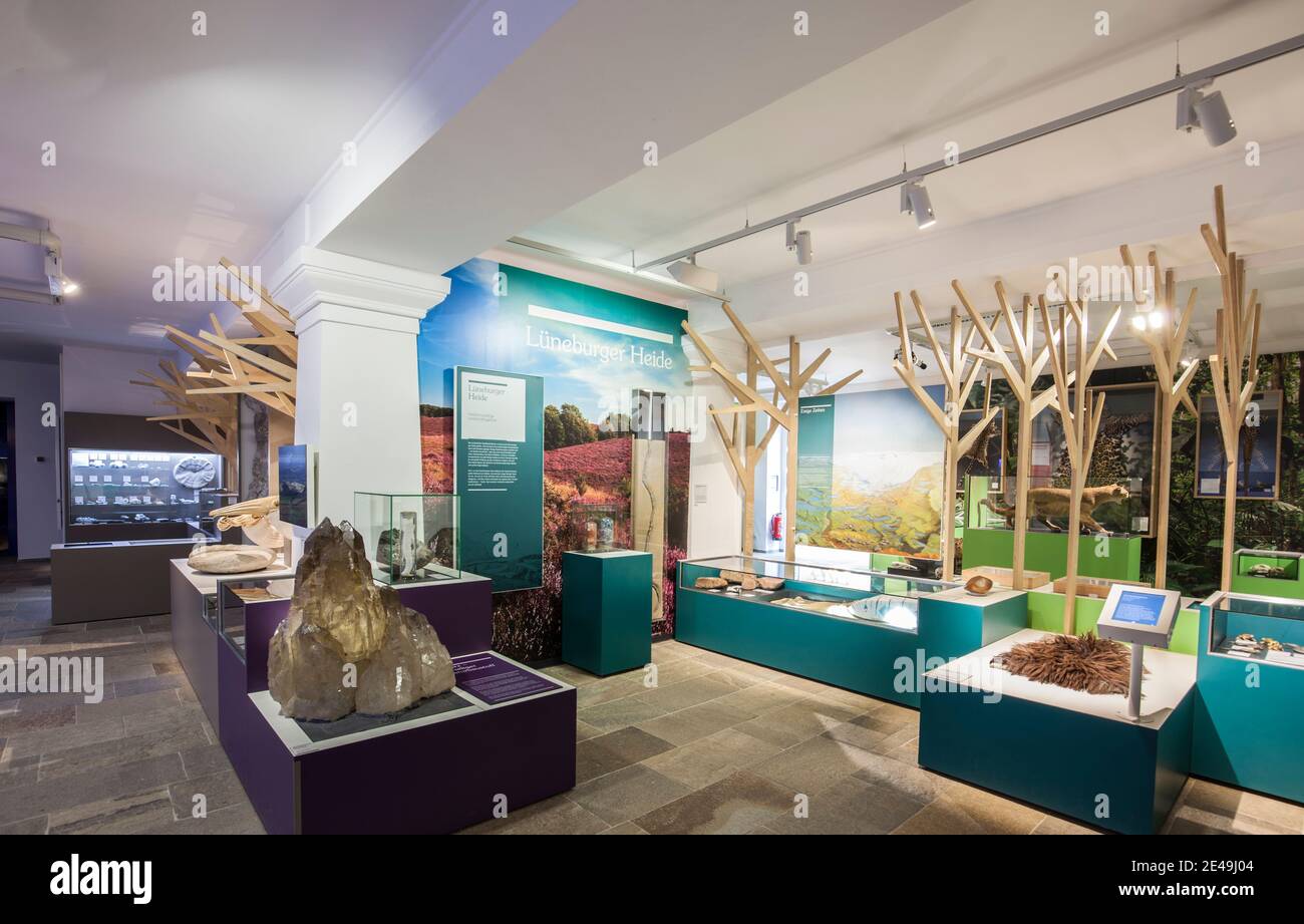 Lower Saxony State Museum, Hanover Stock Photo - Alamy