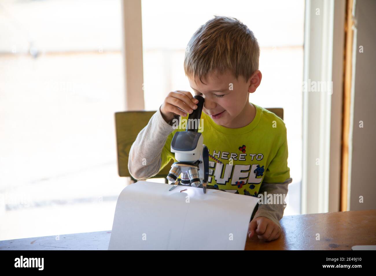 Little boy looking at bug under microscope Stock Photo - Alamy