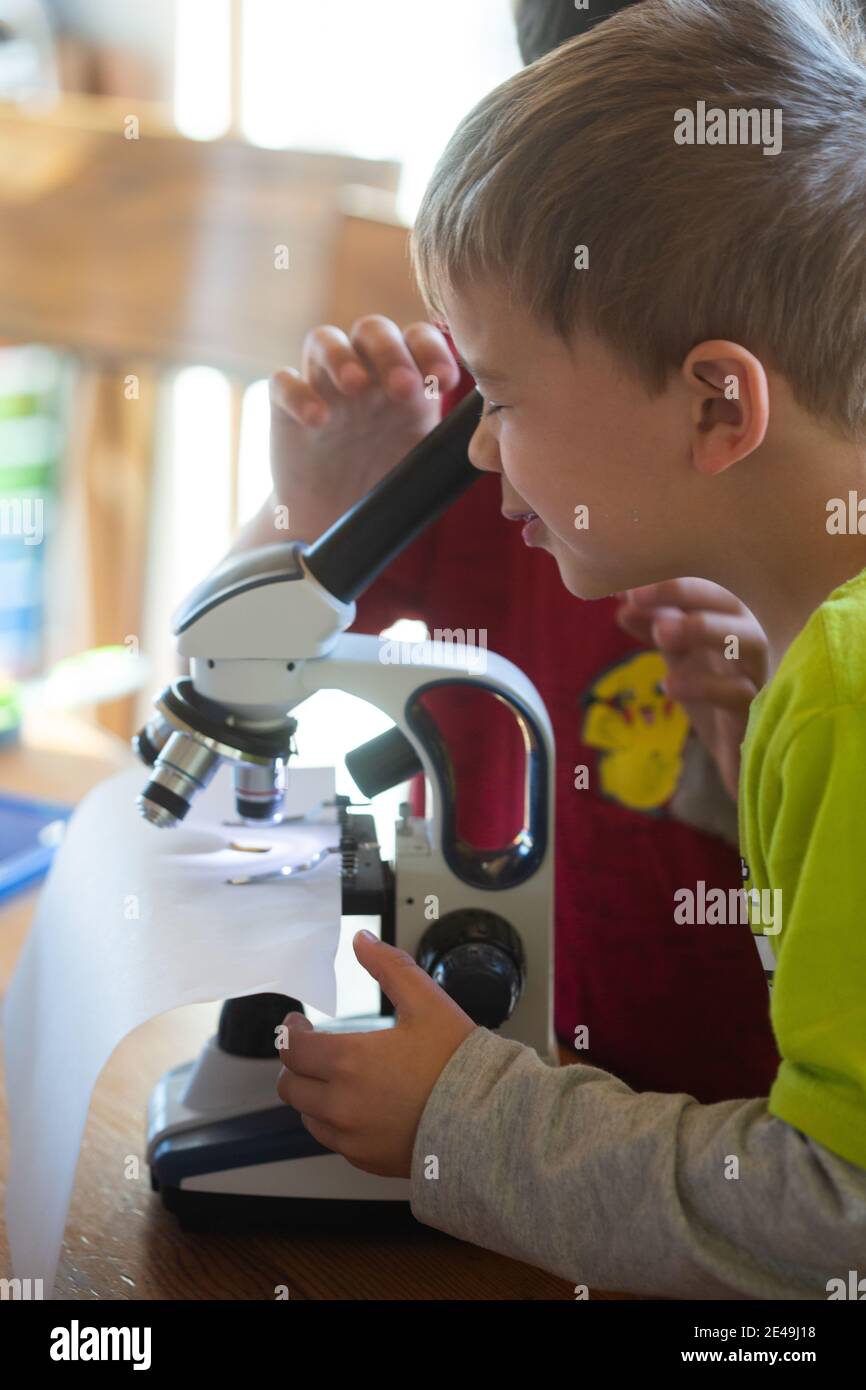 Little boy looking into microscope at home Stock Photo - Alamy