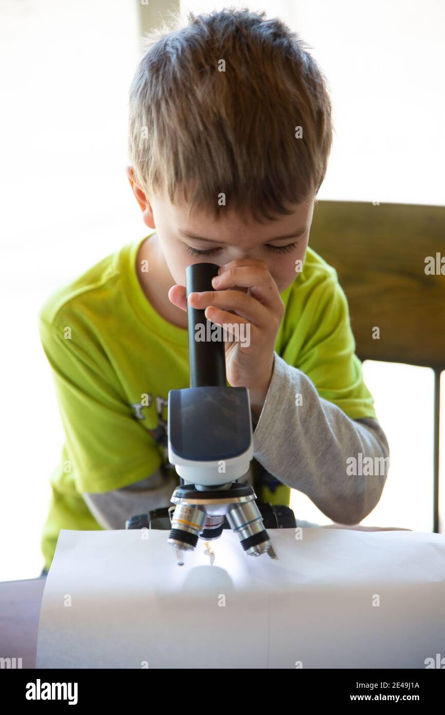 Close up of boy looking through a microscope at a bug Stock Photo - Alamy
