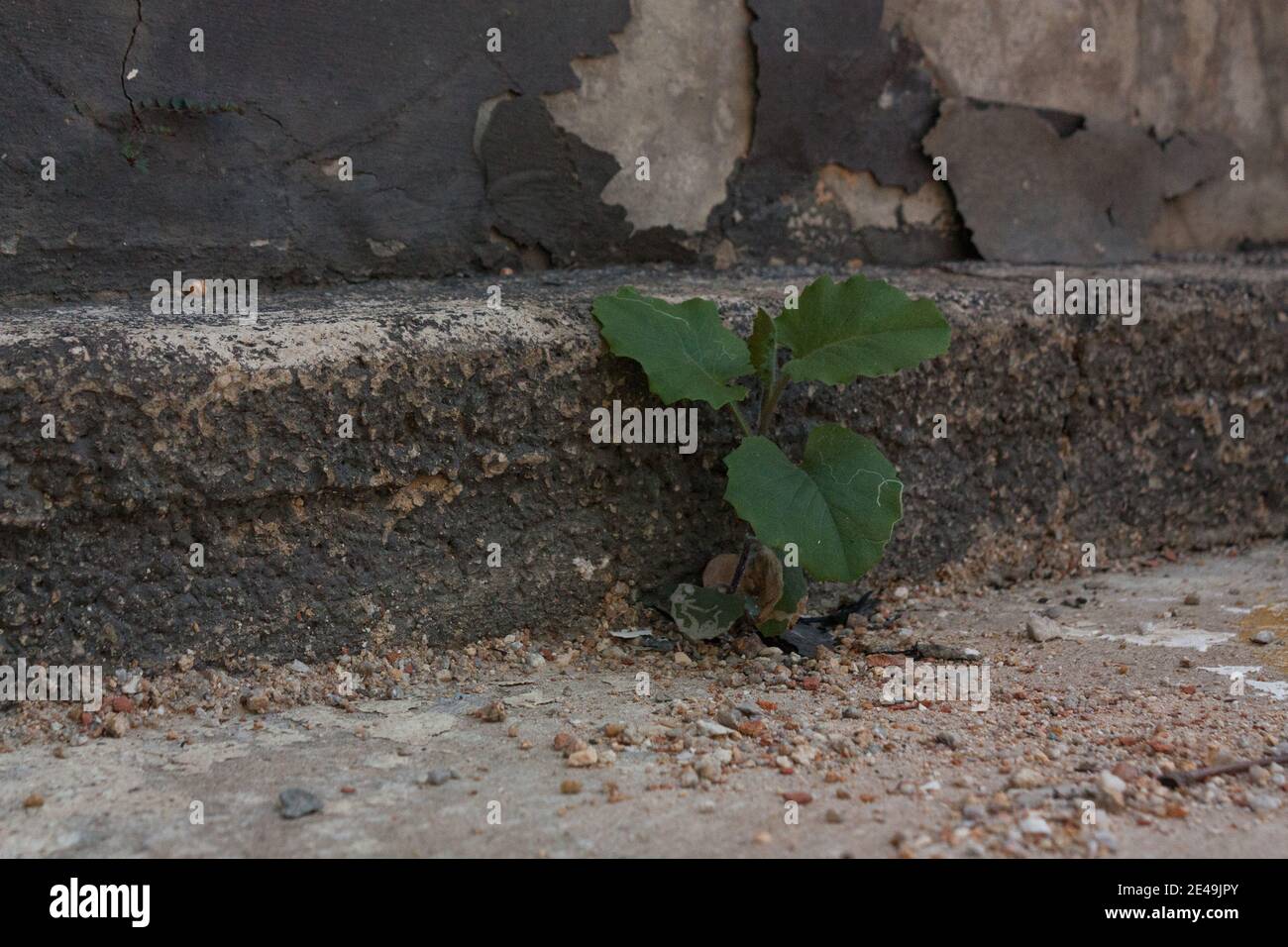 Human ambition hi-res stock photography and images - Alamy