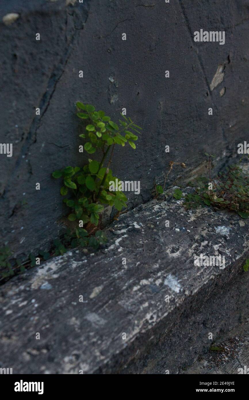 Human ambition hi-res stock photography and images - Alamy