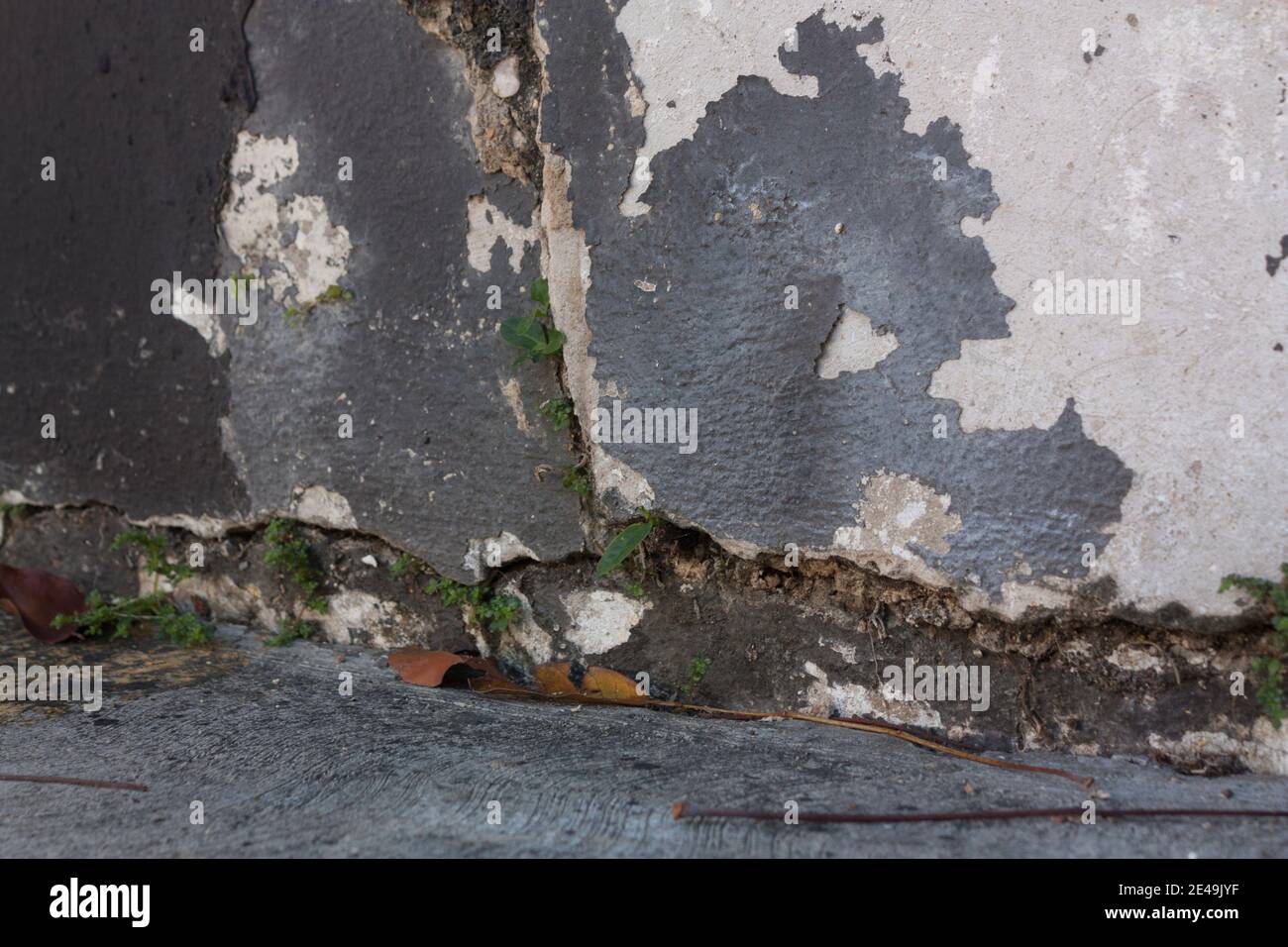 Nature will always win the battle against cement, concrete and human ...