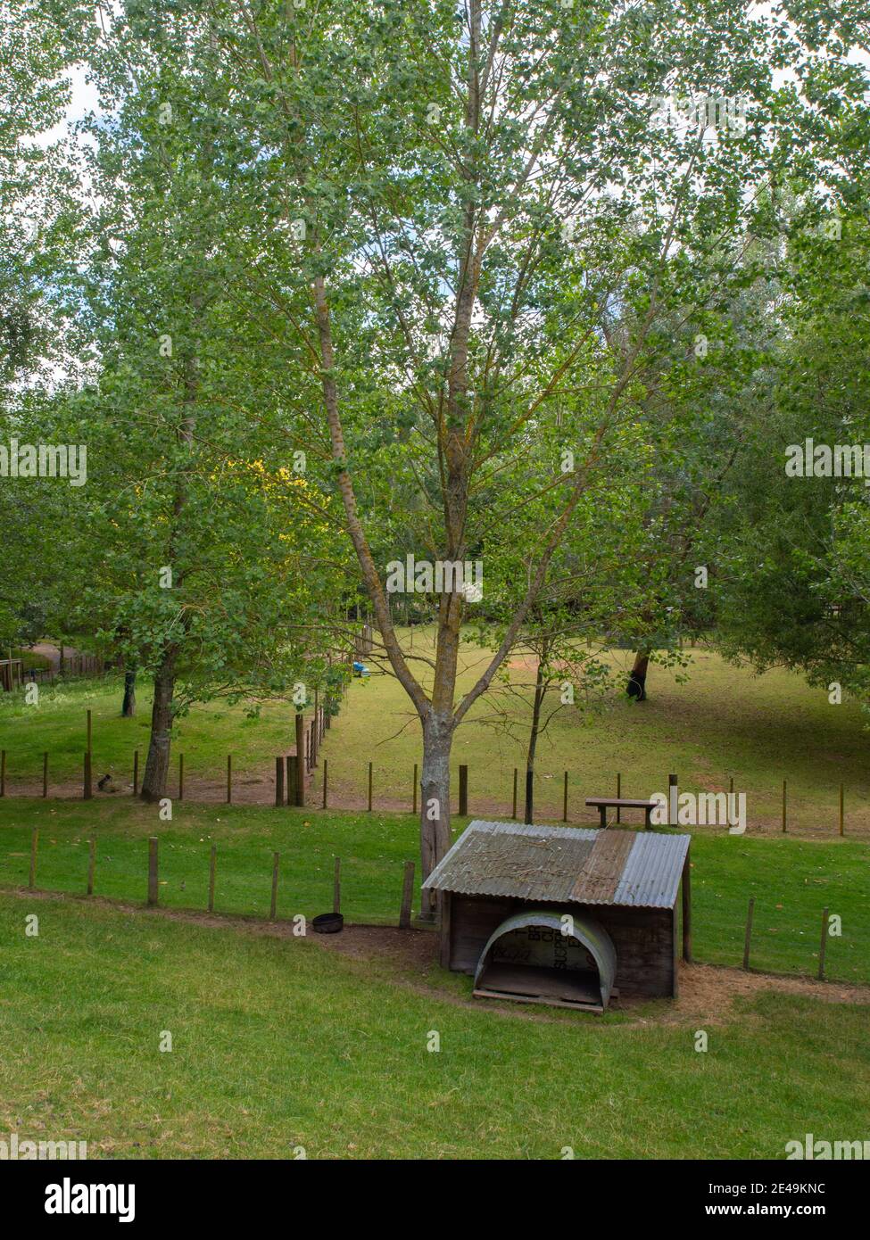 Animal Pen Fencing And Trees On A Farm Stock Photo - Alamy