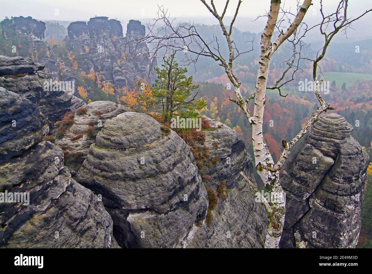 Bastei rocks hi-res stock photography and images - Alamy