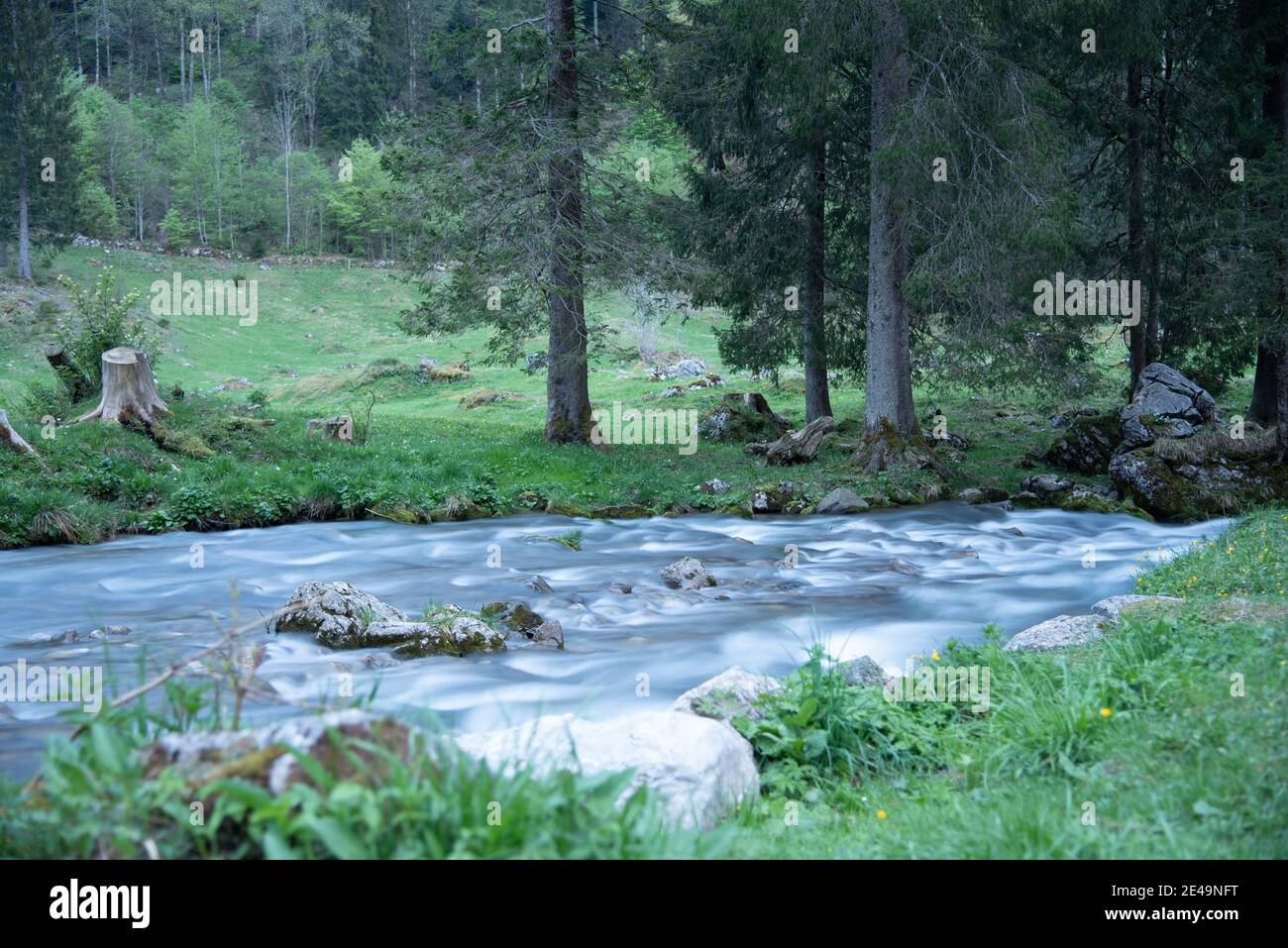 Current small river in forest hi-res stock photography and images - Alamy