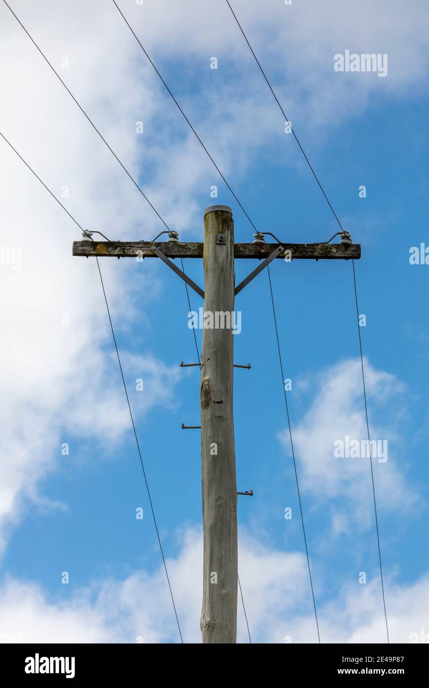 A wooden telephone pole with wires and terminal connectors in front of ...