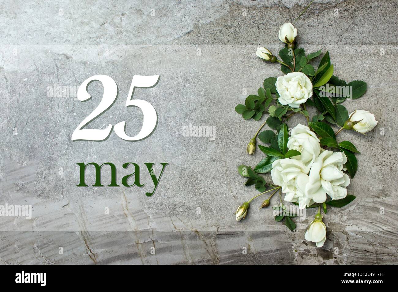 May 25th. Day 25 of month, Calendar date. Stylish roses flat lay. White ...