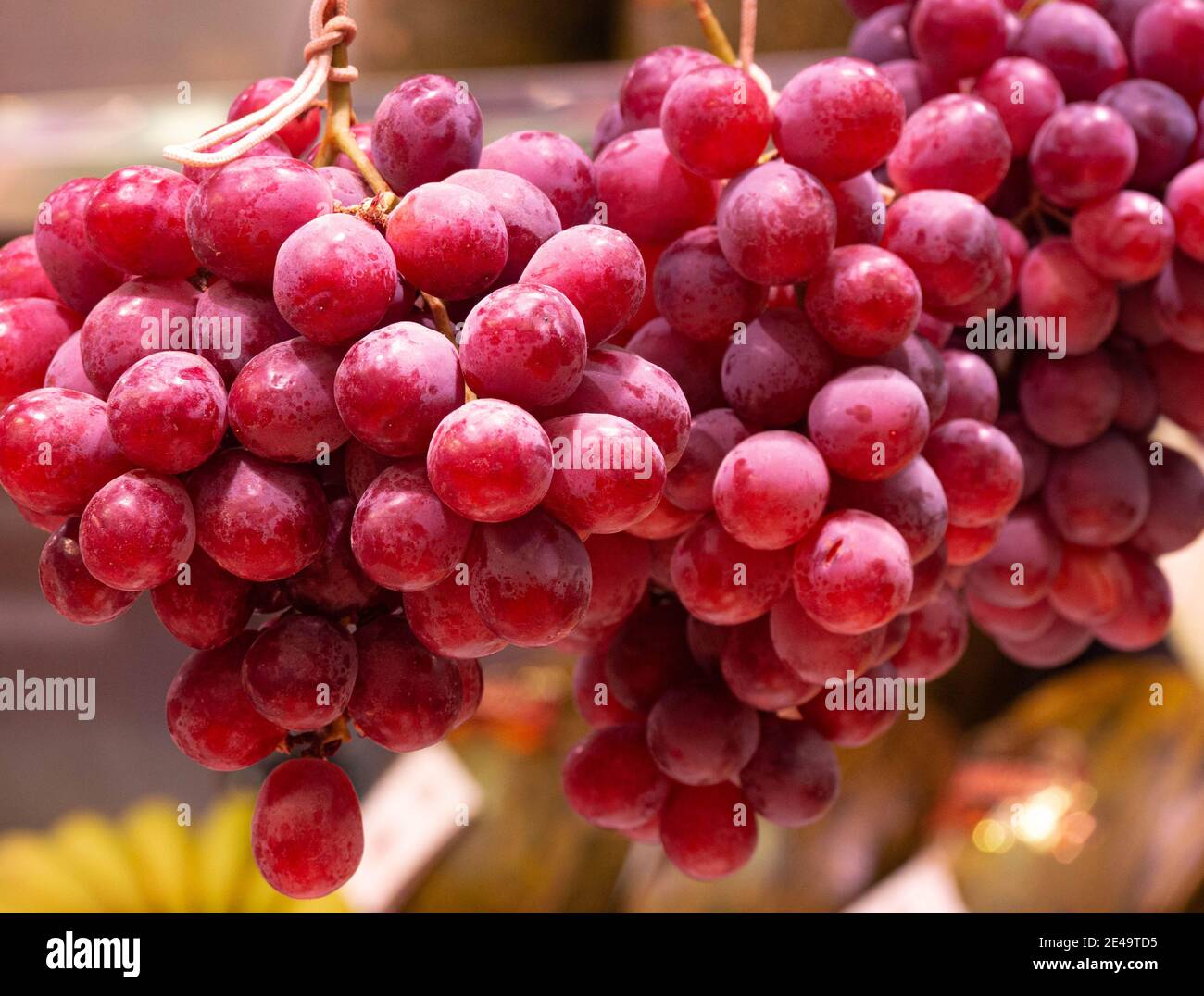 Grapes on a branch hi-res stock photography and images - Alamy