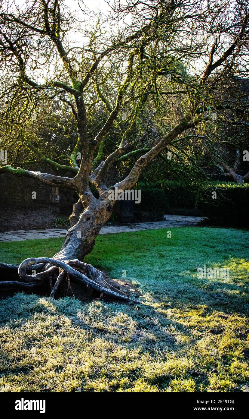 Llandaff castle hi-res stock photography and images - Alamy