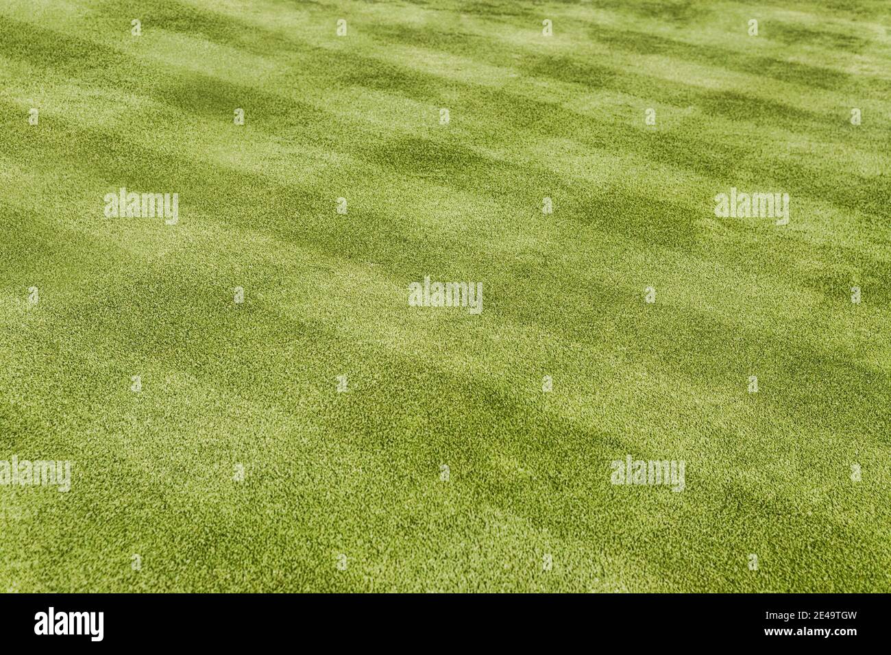 Close up shot of newly trimmed golf course Stock Photo - Alamy
