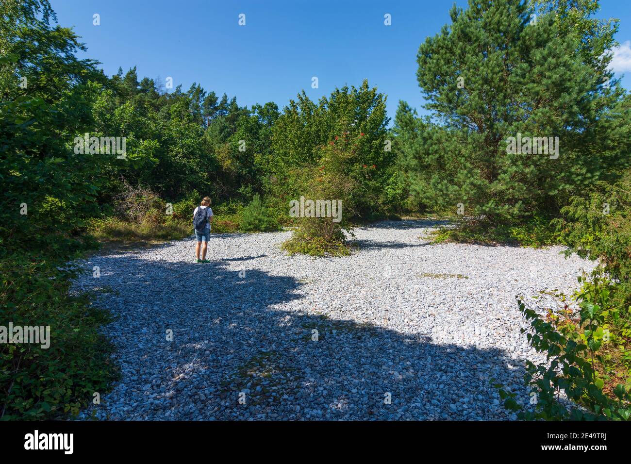 Flint fields in the northern part of schmale heide hi-res stock ...