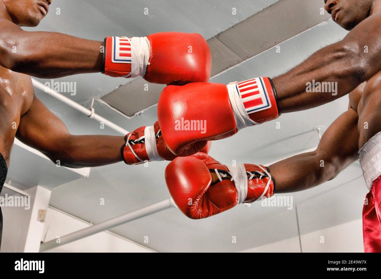 Close up shot professional boxer hi-res stock photography and images ...