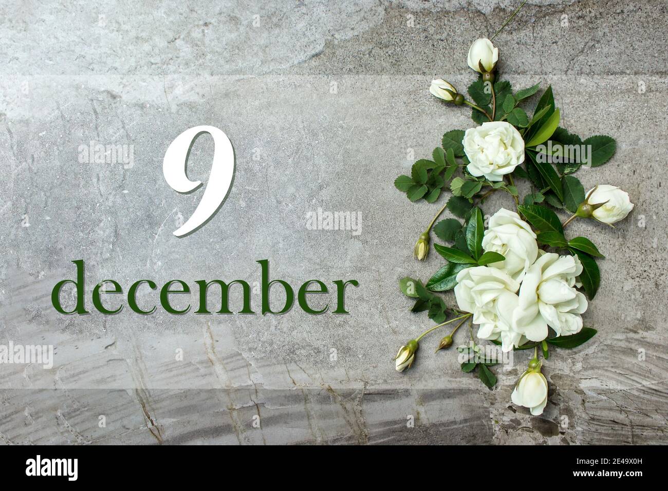 December 9th. Day 9 of month, Calendar date. Stylish roses flat lay ...