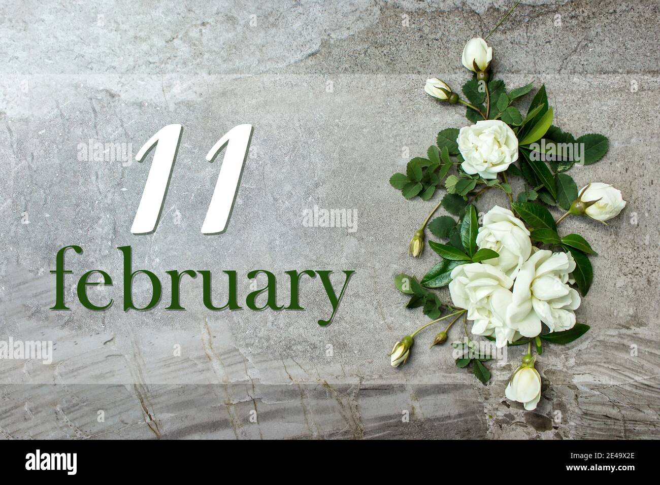 February 11st . Day 11 of month, Calendar date. Stylish roses flat lay ...
