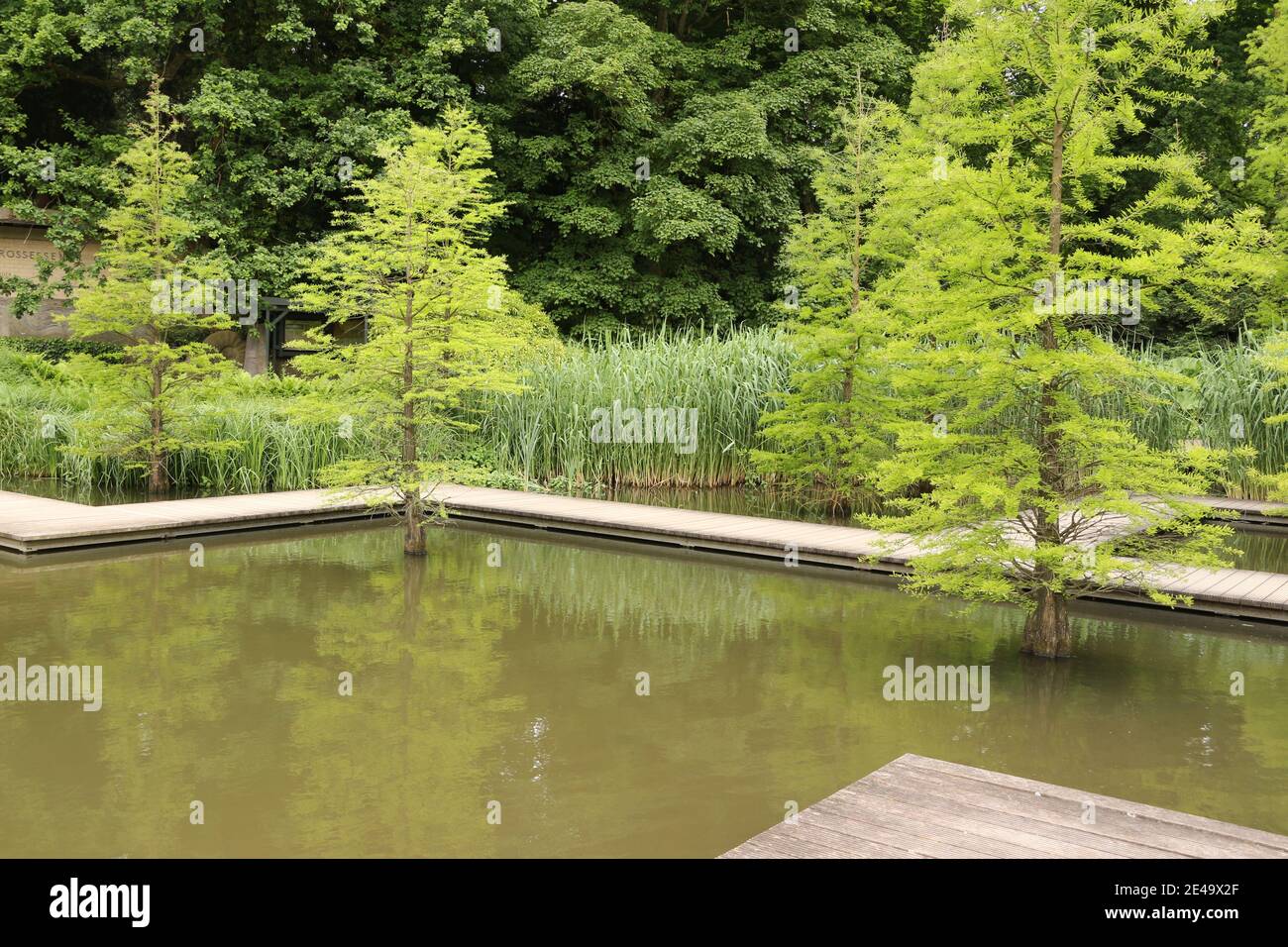 Impressionen aus dem Grugapark in Essen Stock Photo - Alamy