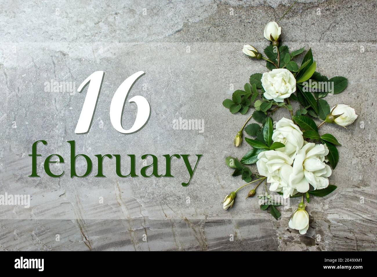 February 16th. Day 16 of month, Calendar date. Stylish roses flat lay ...