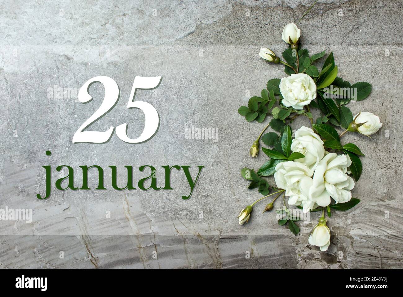 January 25th. Day 25 of month, Calendar date. Winter month, day of the ...