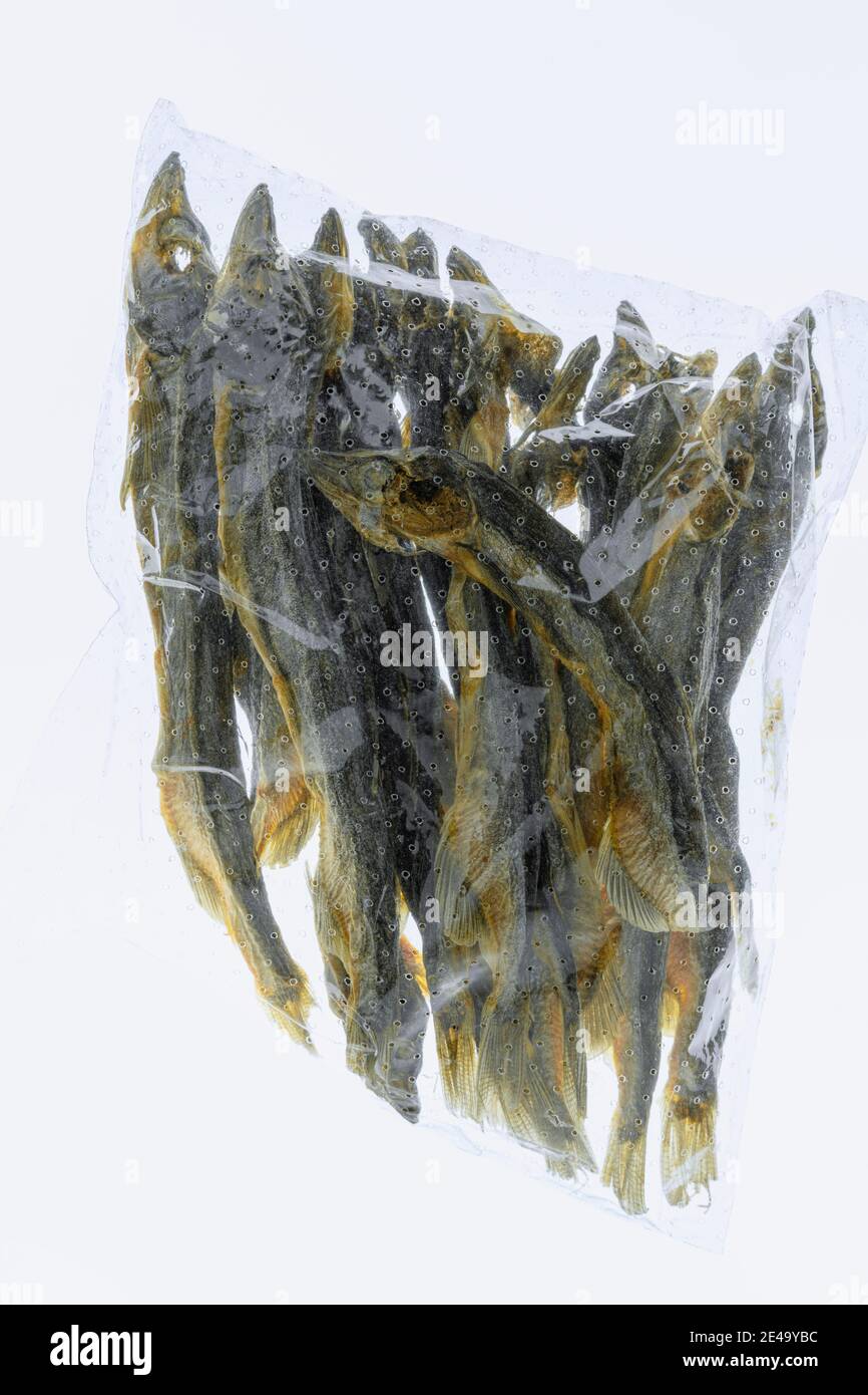 Vendace High Resolution Stock Photography and Images - Alamy