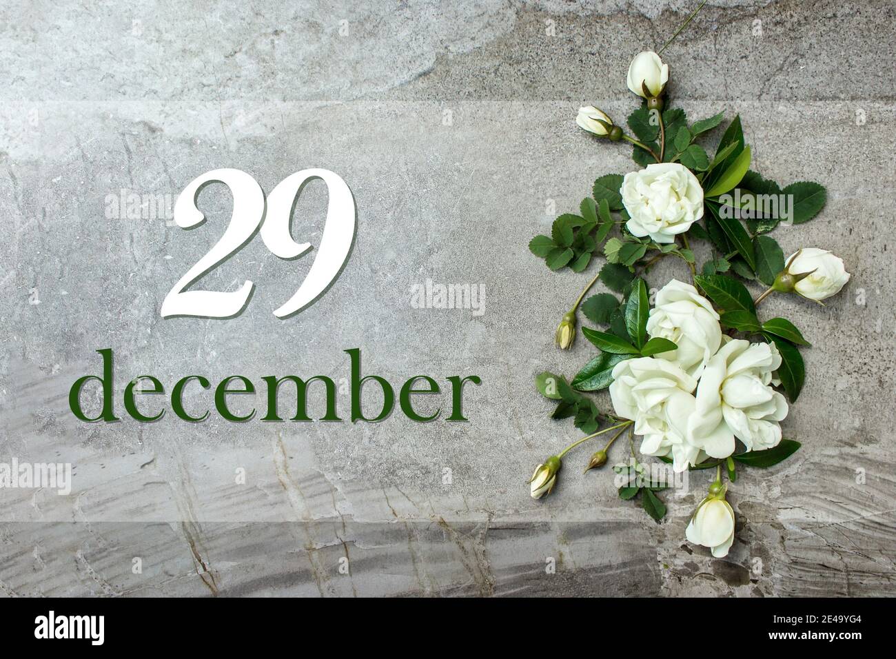 December 29th. Day 29 of month, Calendar date. Winter month, day of the ...