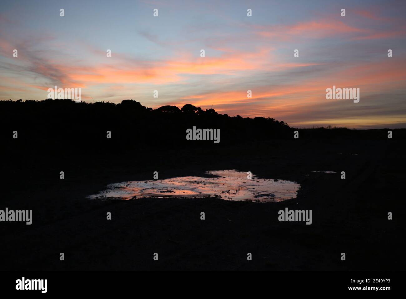 Frozen puddle with sunset reflected in it on pathway Stock Photo - Alamy