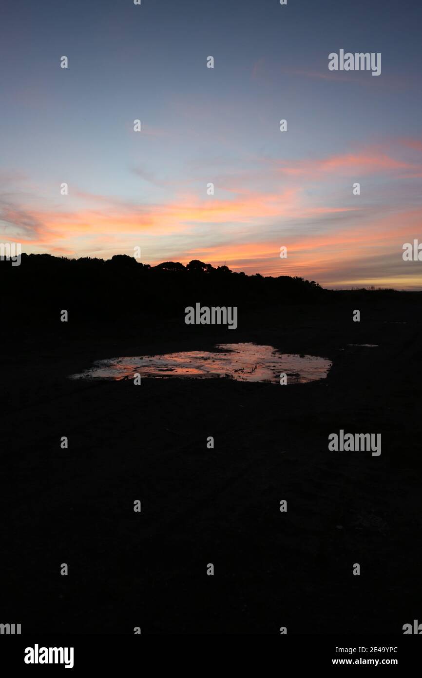 Frozen puddle with sunset reflected in it on pathway Stock Photo - Alamy