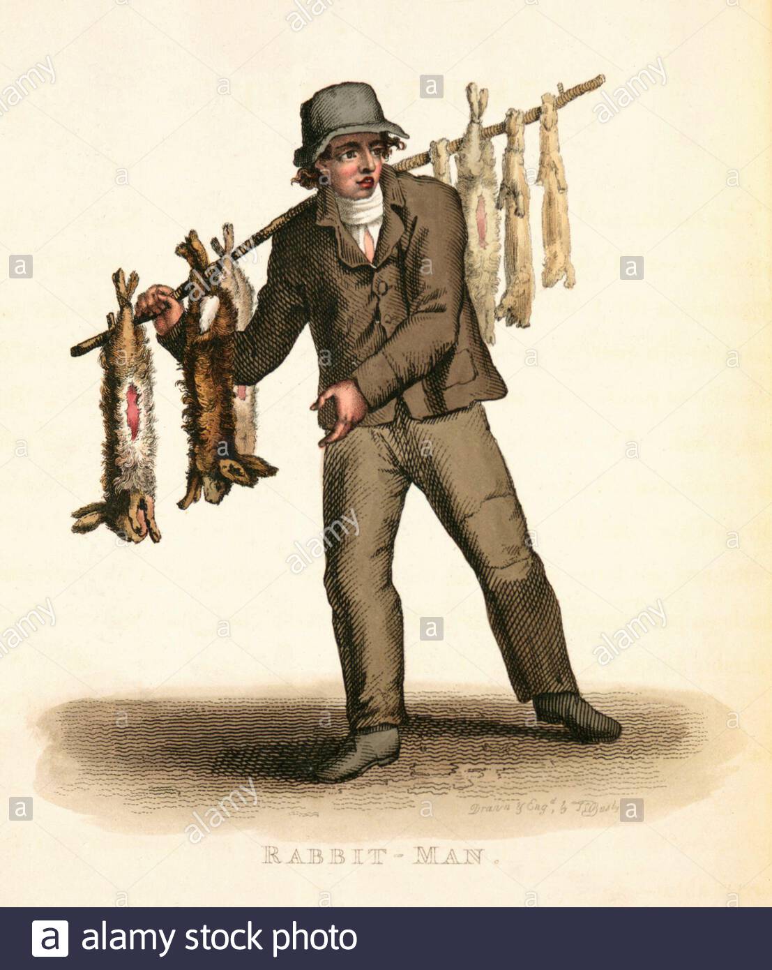 Rabbits pictures hi-res stock photography and images - Alamy