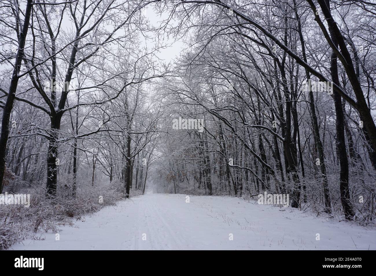 Crystal forest walking trail hi-res stock photography and images - Alamy