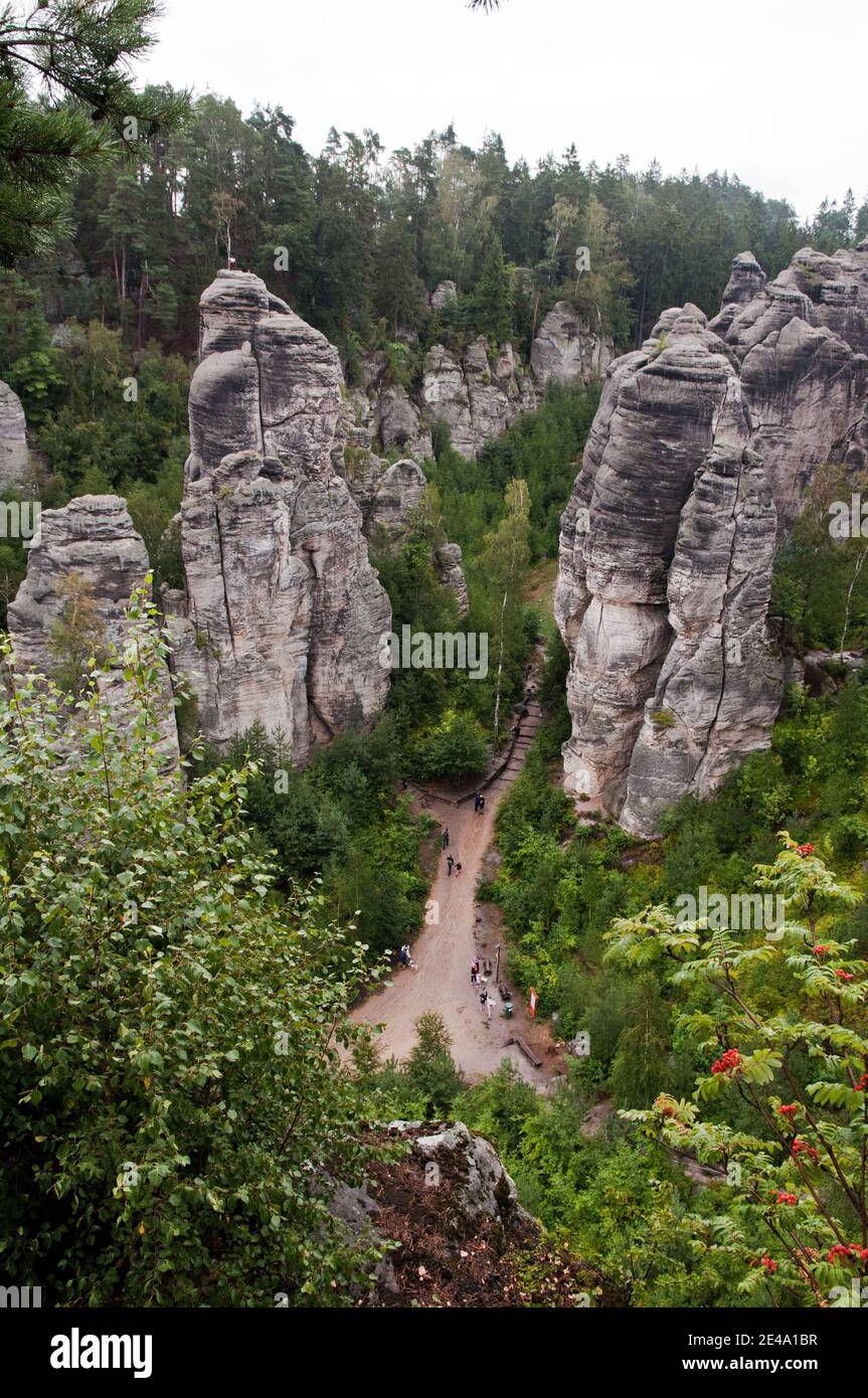 Vertical shot of amazing rock formations in Saxon SwitzerlandNational ...