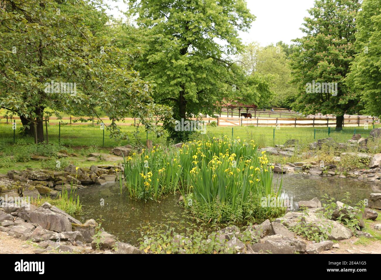 Impressionen aus dem Grugapark in Essen Stock Photo - Alamy