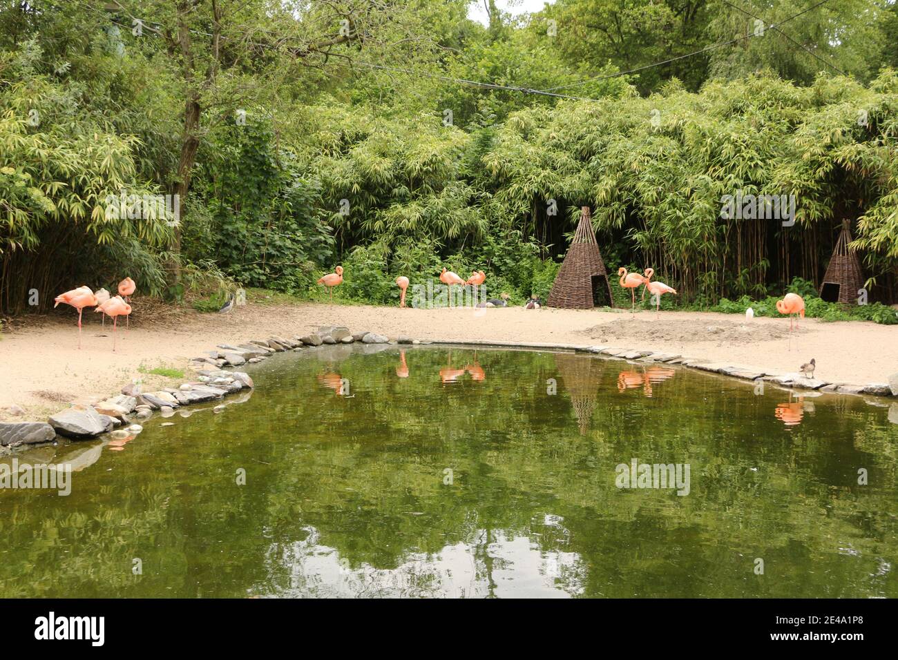 Impressionen aus dem Grugapark in Essen Stock Photo - Alamy