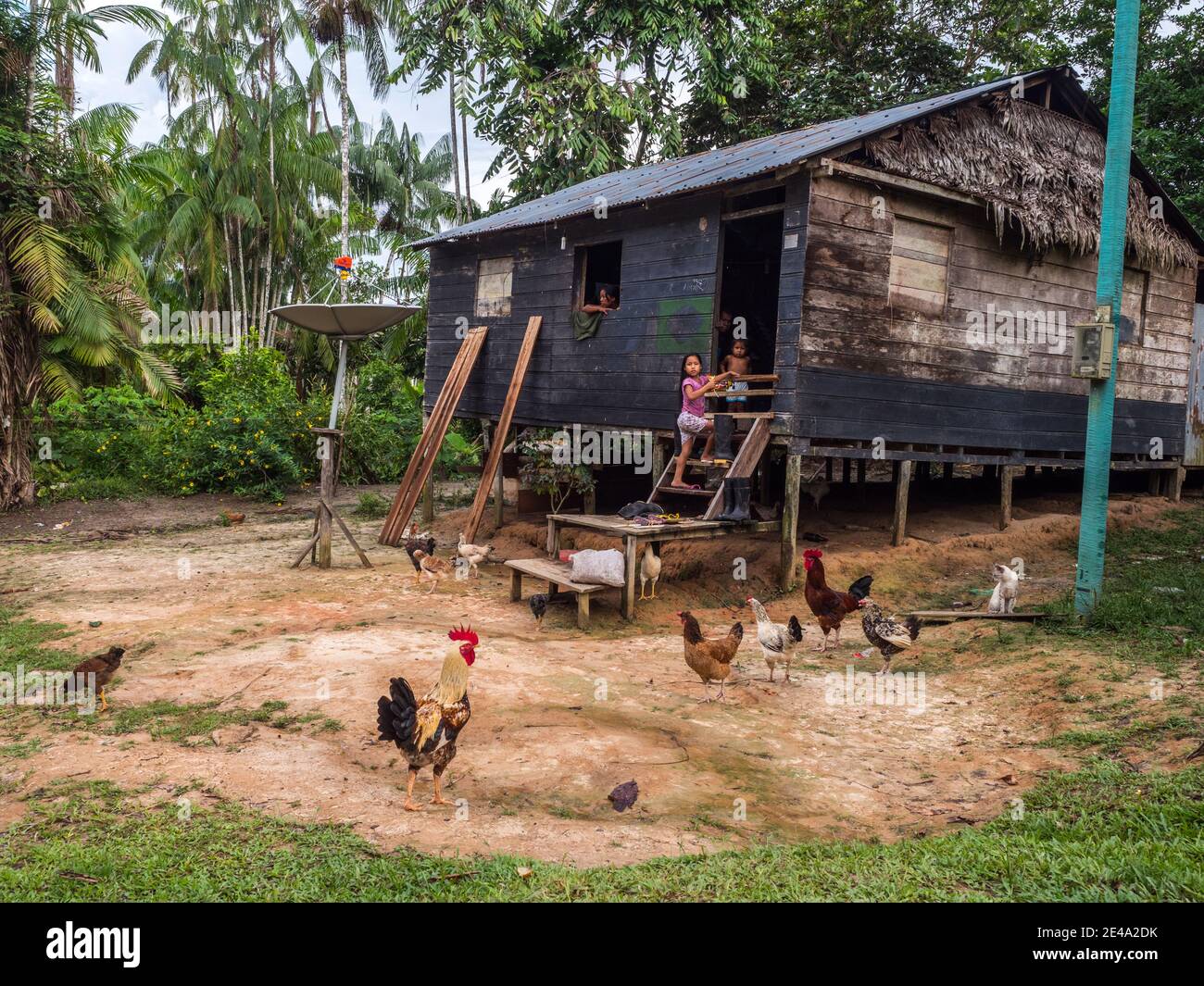 Paumari, Peru - Nov 29, 2018: Wooden house in a small village in the ...