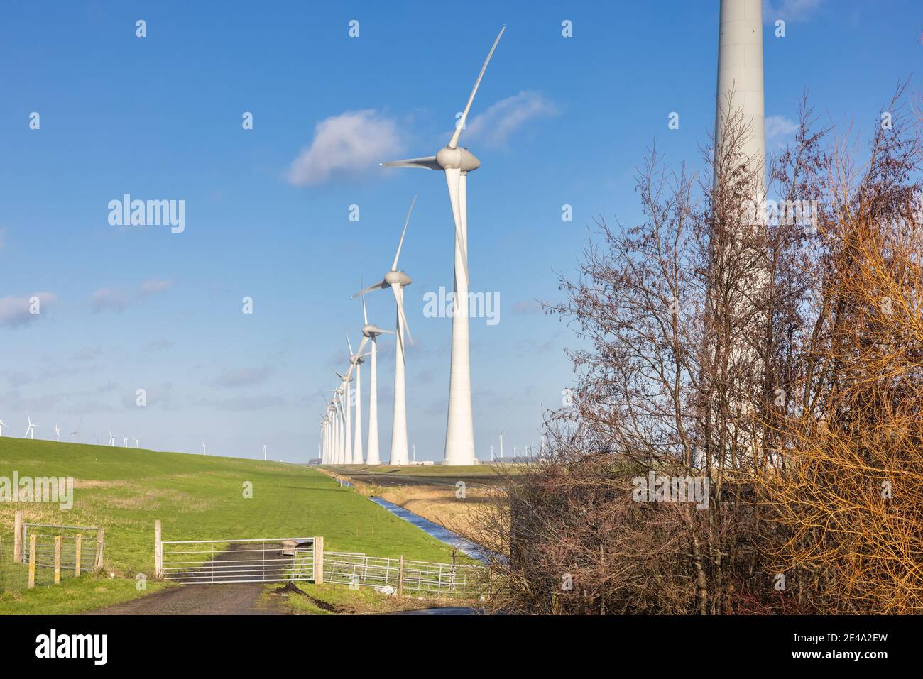 Wind turbines in polder landscape of Dutch Noordoostpolder Stock Photo ...