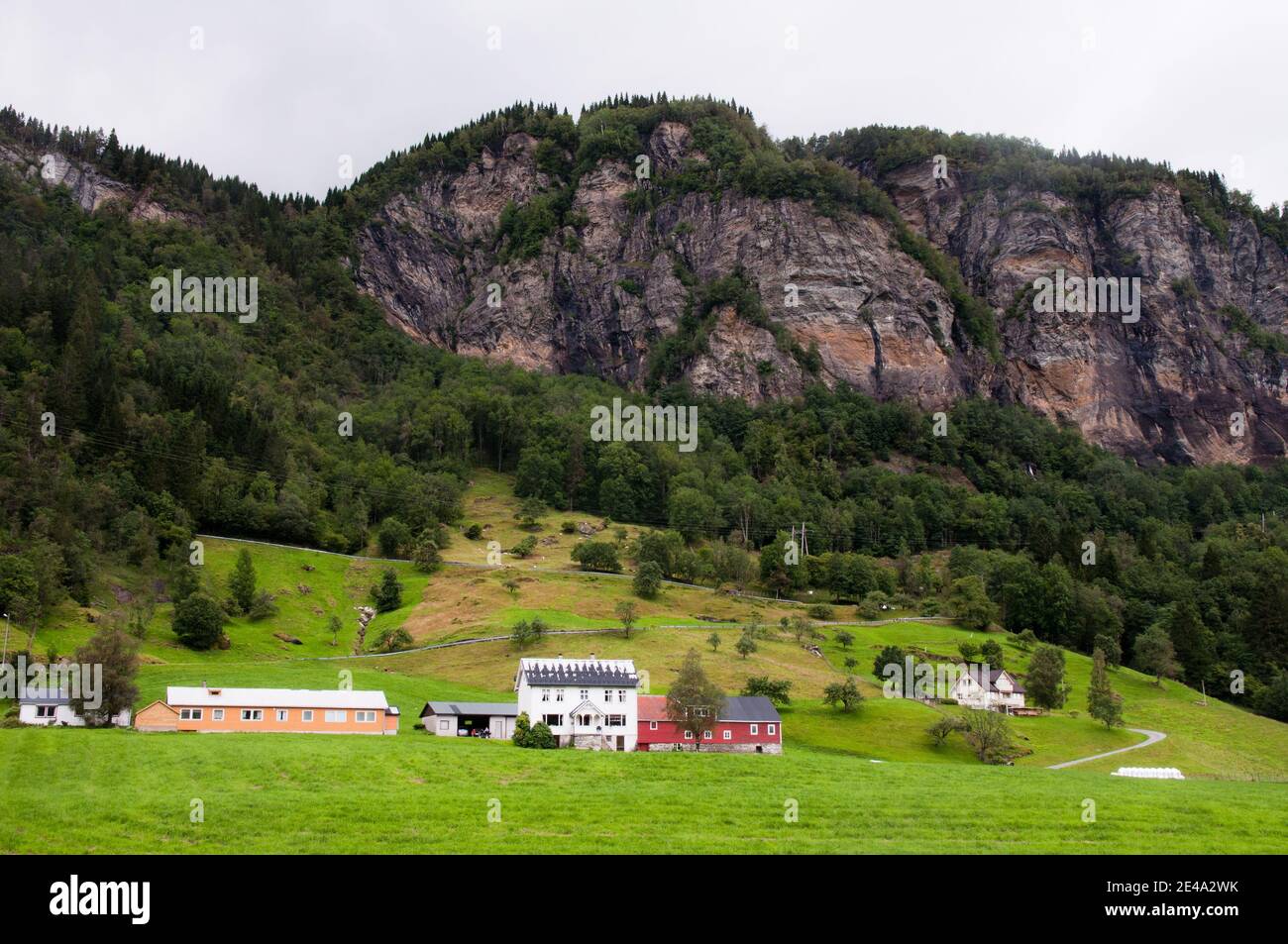 Beautiful landscape of houses on a green field with mountain trees ...