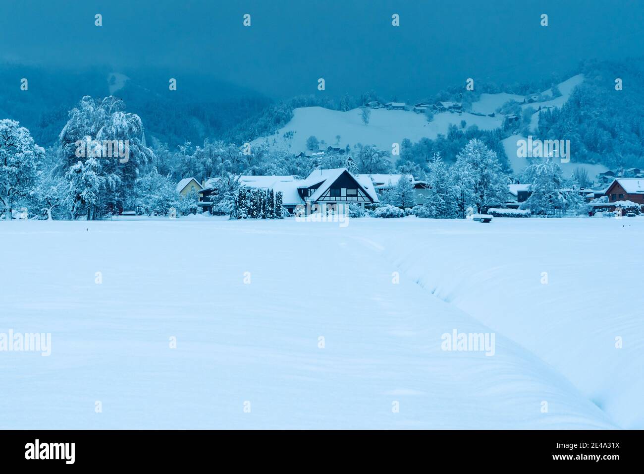 Feld tree hi-res stock photography and images - Alamy