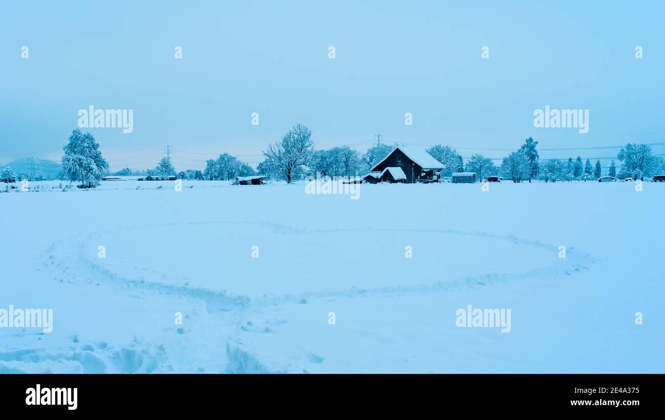 Feld tree hi-res stock photography and images - Alamy