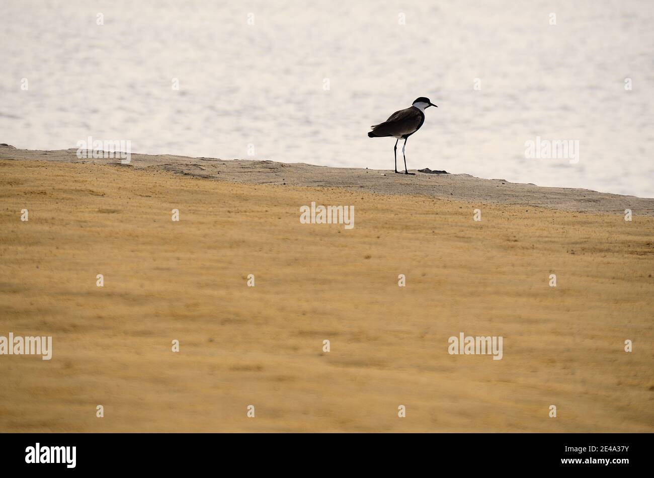 Eagle lake beach hi-res stock photography and images - Alamy