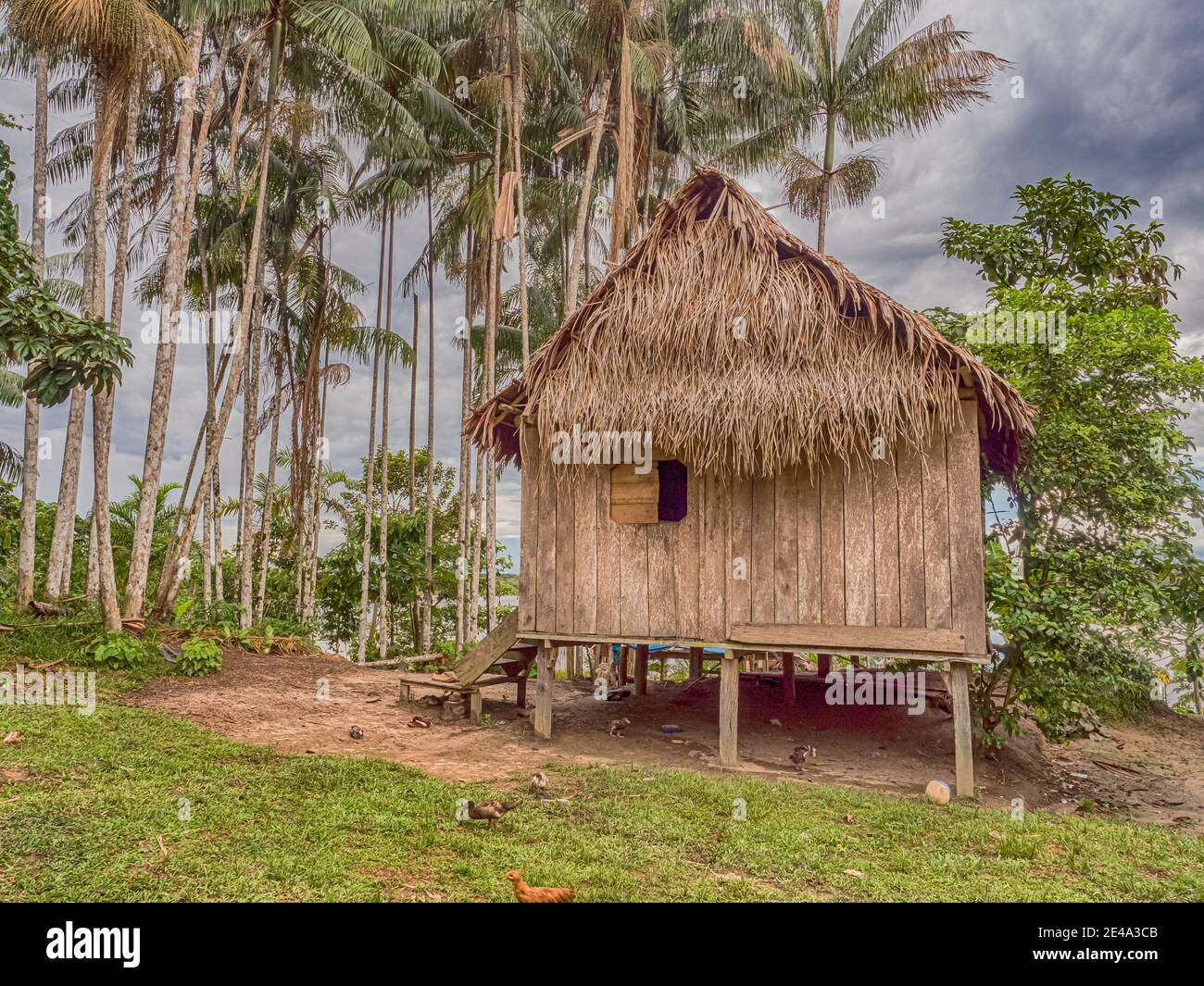 Paumari, Peru - Nov 29, 2018: Wooden house with a roof made out of palm ...