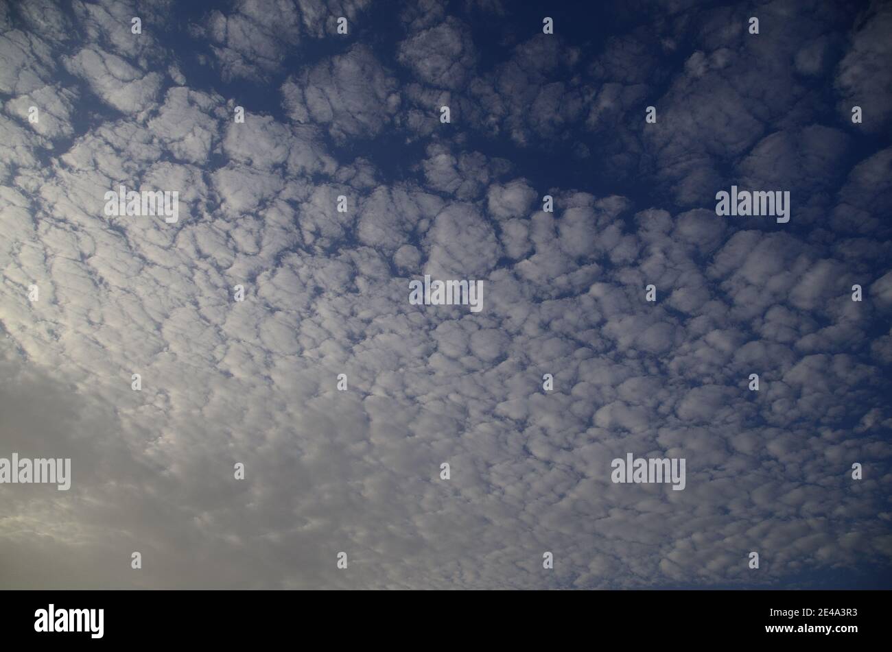 Summer of freedom hi-res stock photography and images - Alamy