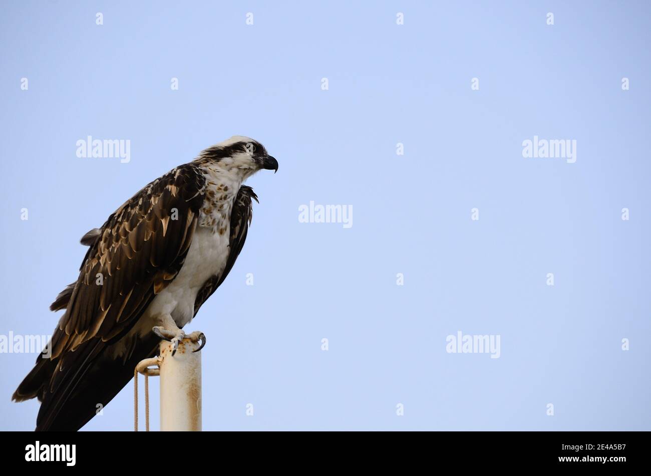 Eagle lake beach hi-res stock photography and images - Alamy