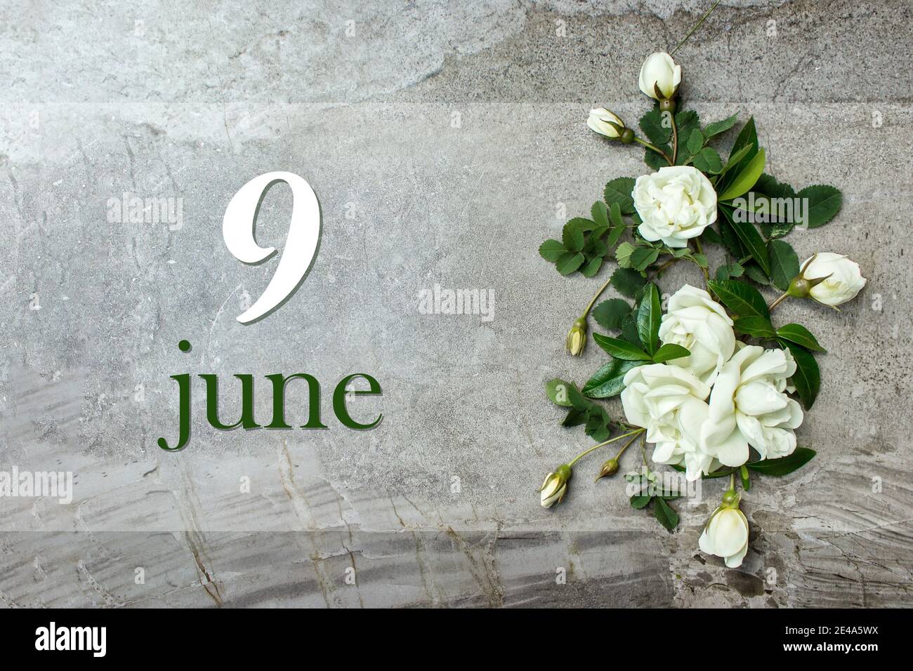 June 9th. Day 9 of month, Calendar date. Stylish roses flat lay. White ...