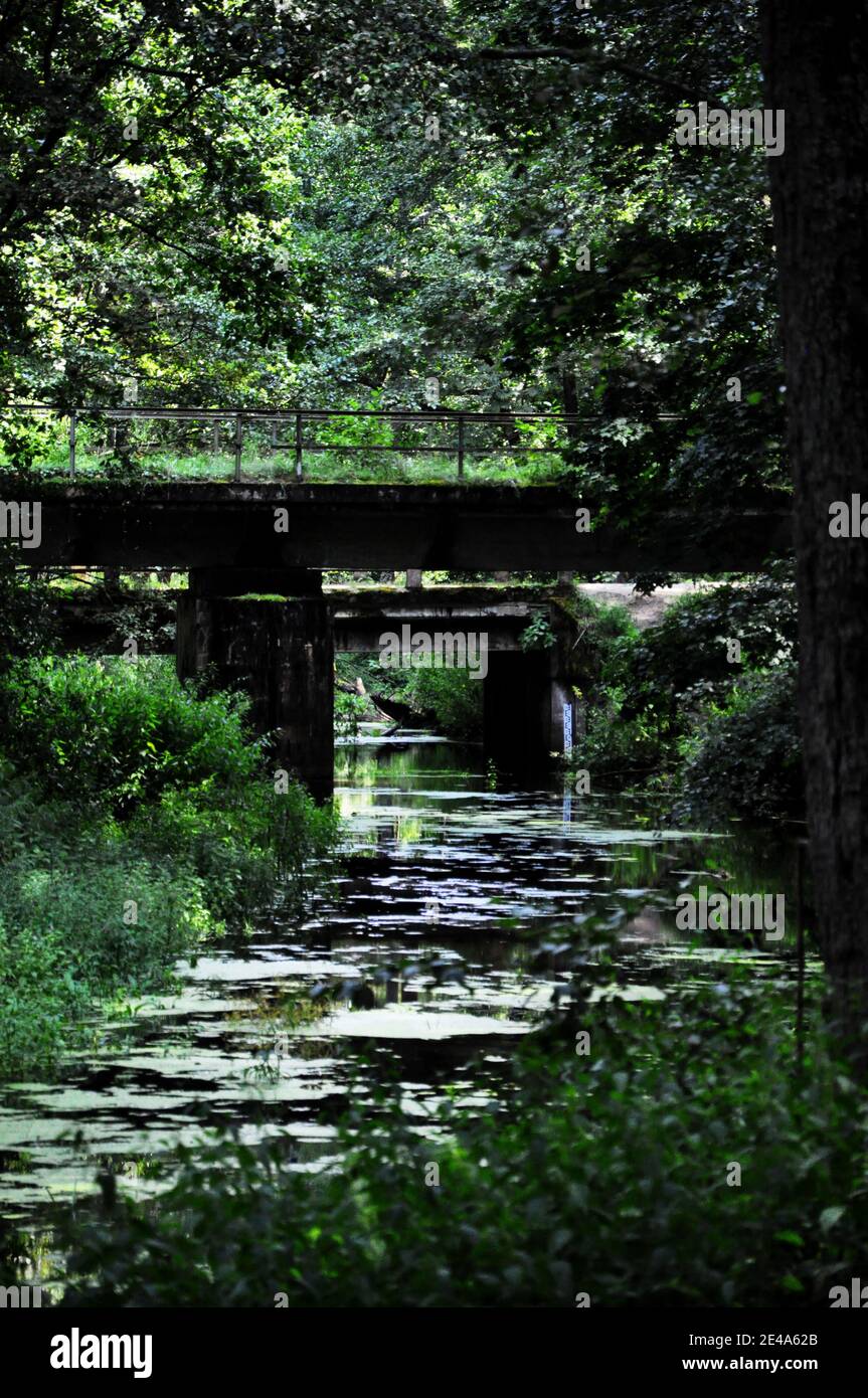 River bio diversity hi-res stock photography and images - Alamy