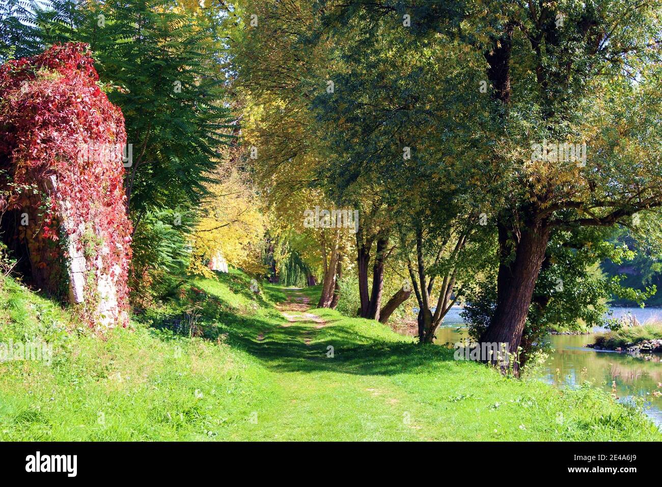 colorful trees near river Stock Photo - Alamy