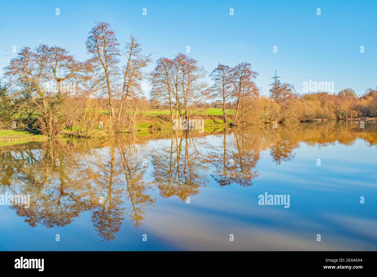 Tree Line reflections on a bright blue winter lake Stock Photo - Alamy