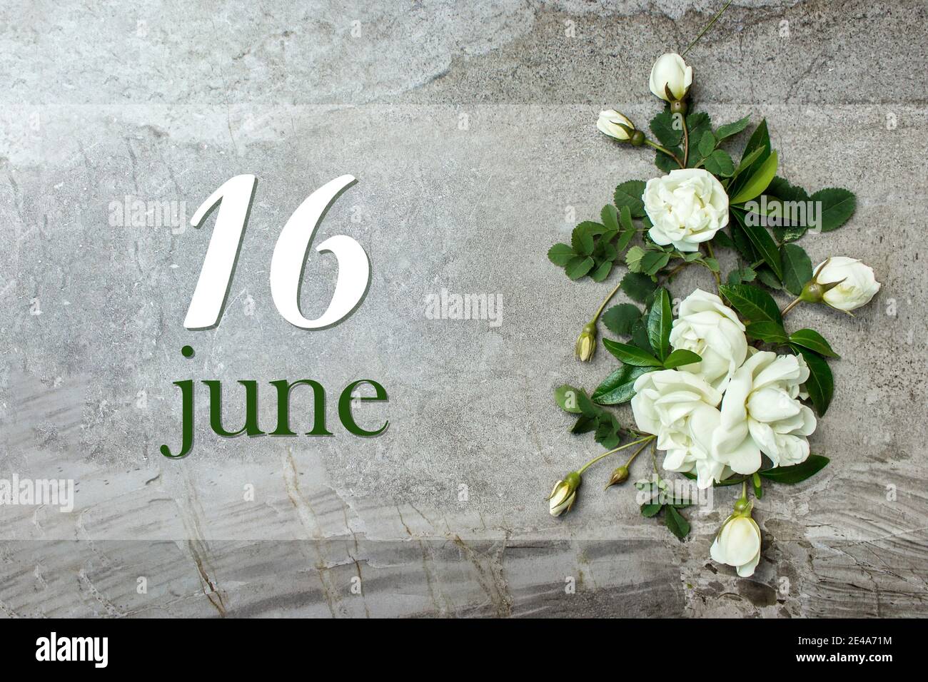 June 16th. Day 16 of month, Calendar date. Stylish roses flat lay ...