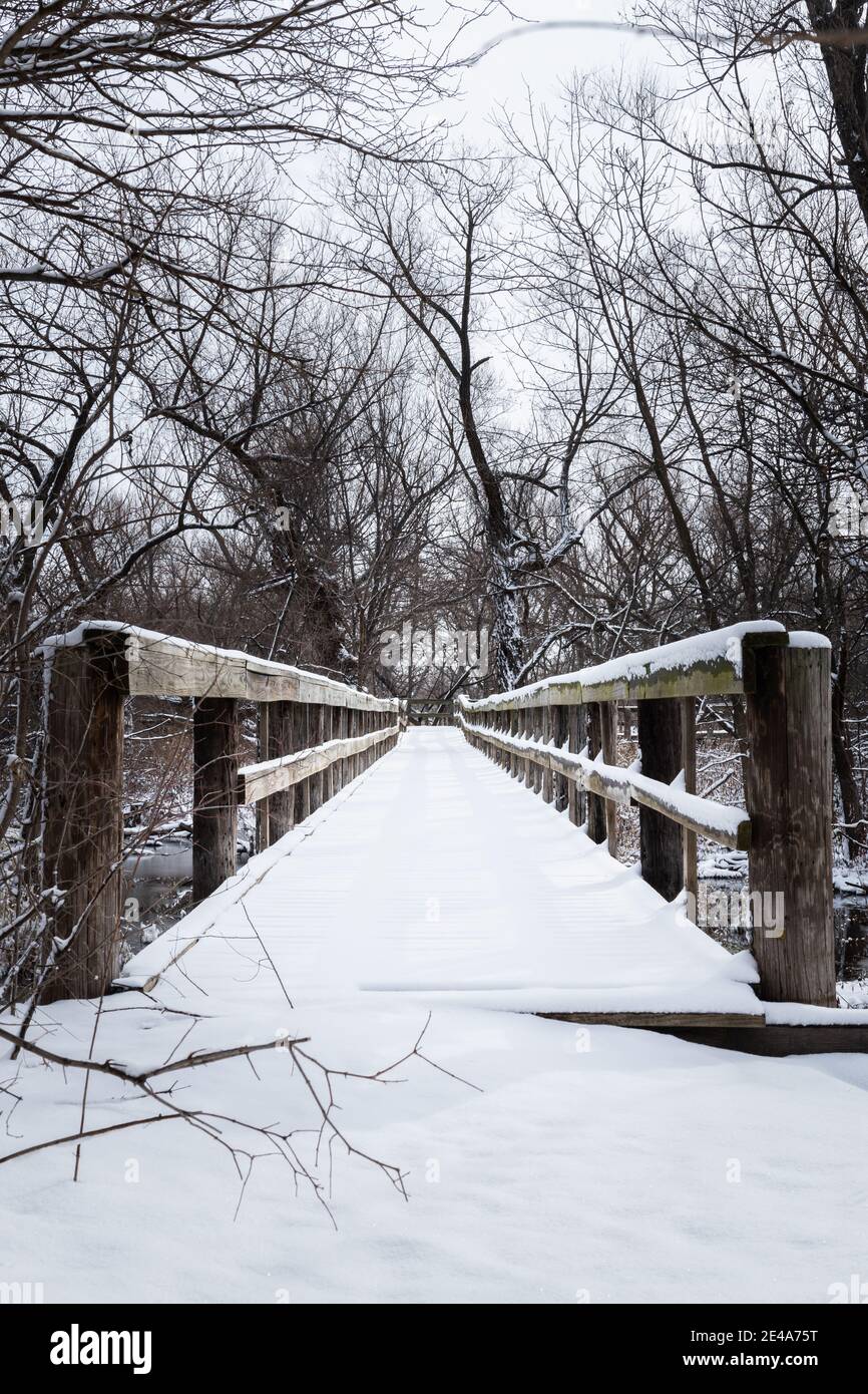 Snow Covered Bridge in the Woods Stock Photo - Alamy